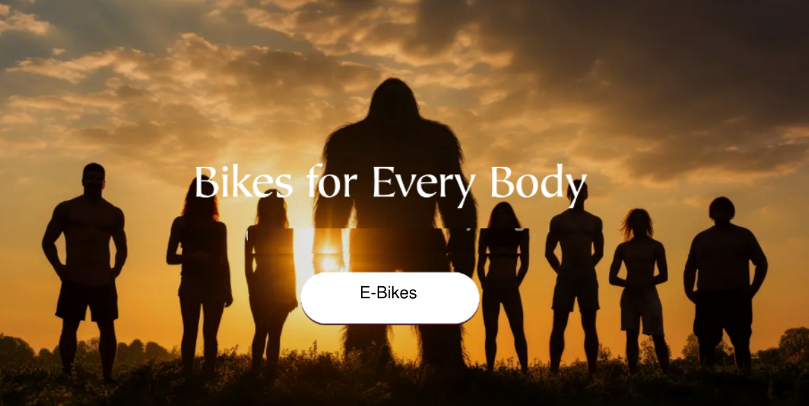 E-Bikes – PSECC Ltd
